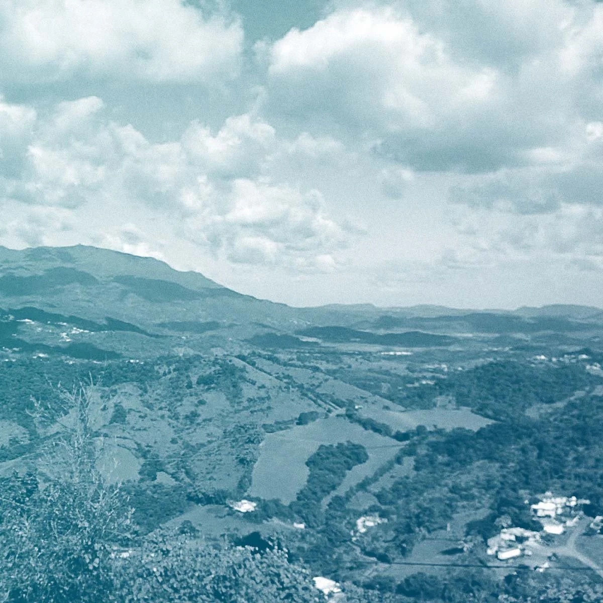 Who Is Nicky Cruz? — Central Assembly