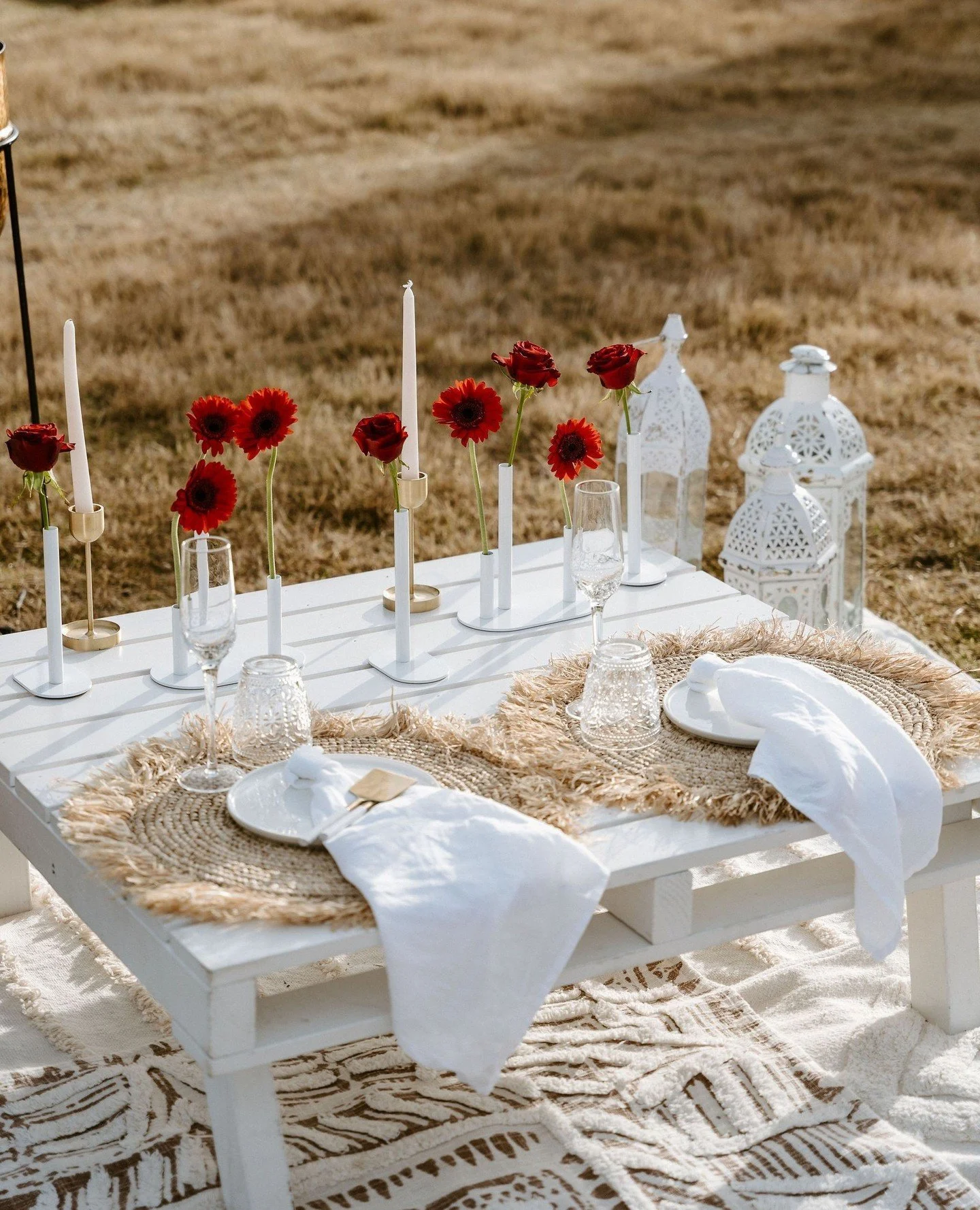 My Secret Picnic | Curated Events | Wanaka & Queenstown