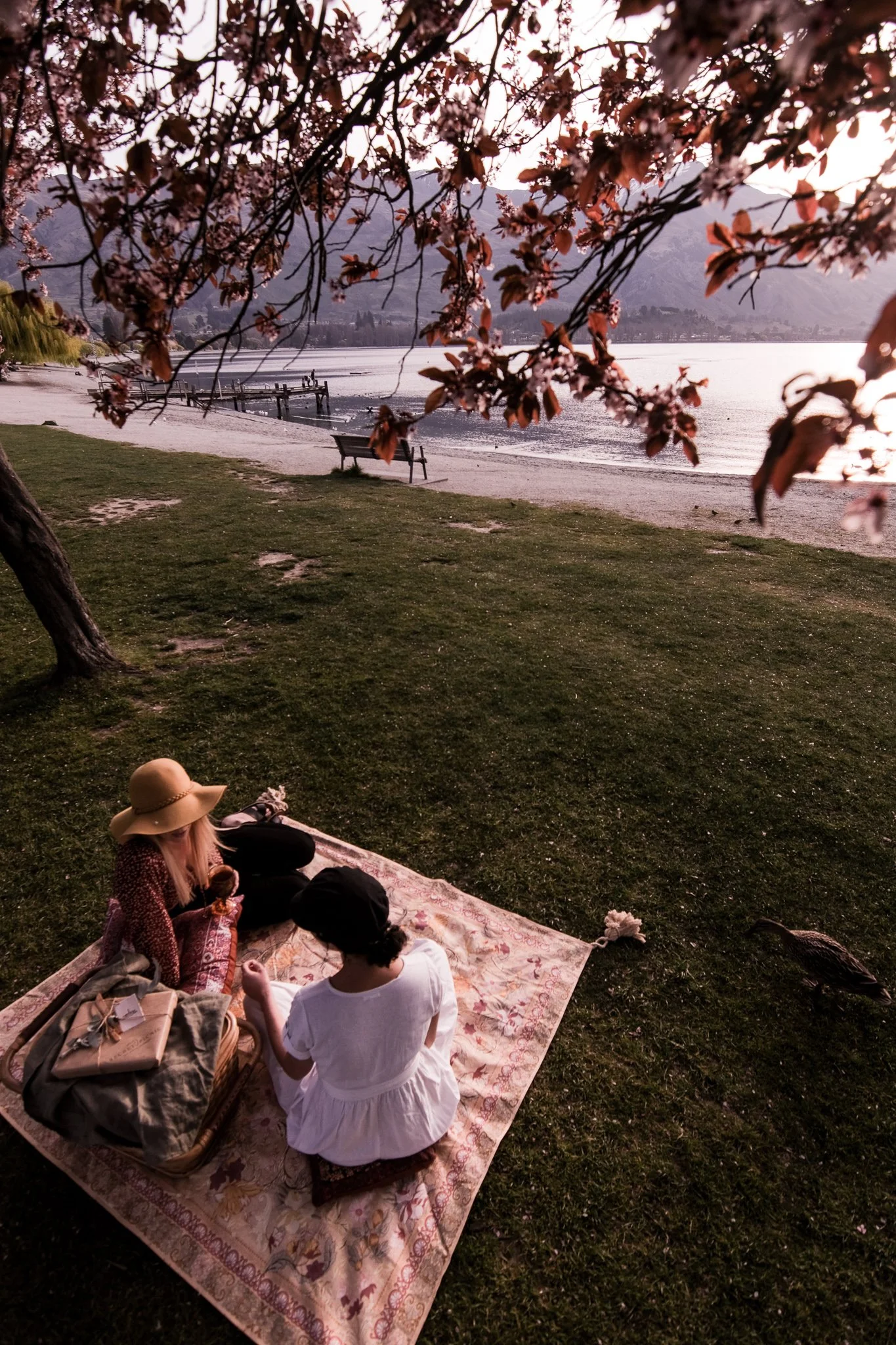 Couple Picnic Tumblr