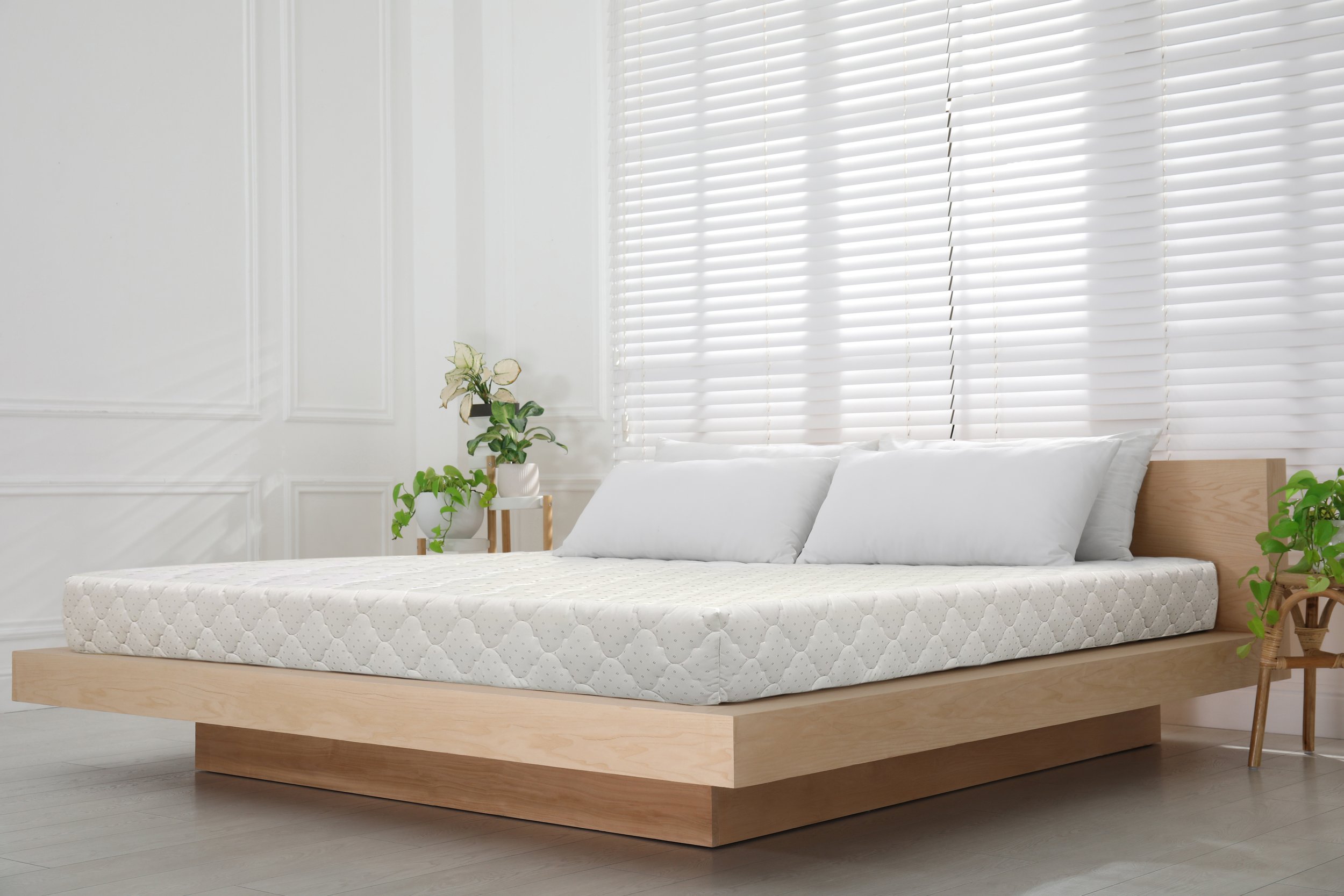 Discover Premium Mattresses Collection - Specialty Mattress Inc.