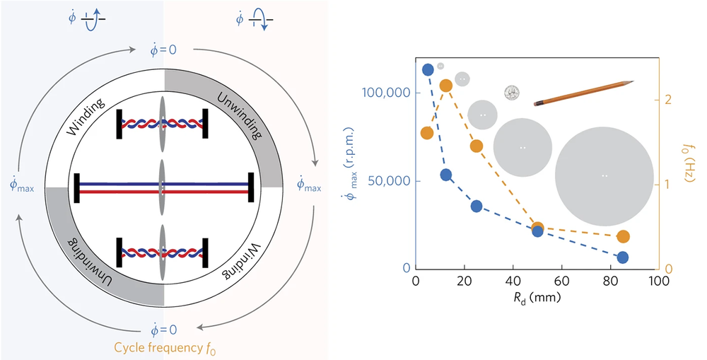 Paperfuge — Prakash Lab