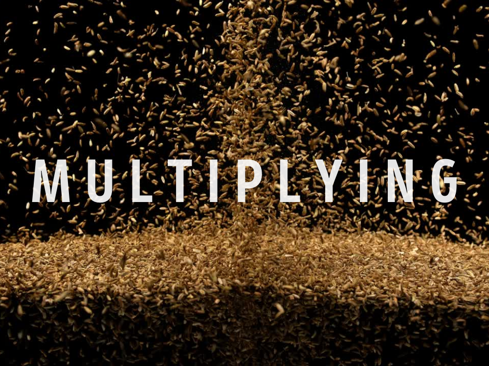 Who We Are — Redemption Church of PA