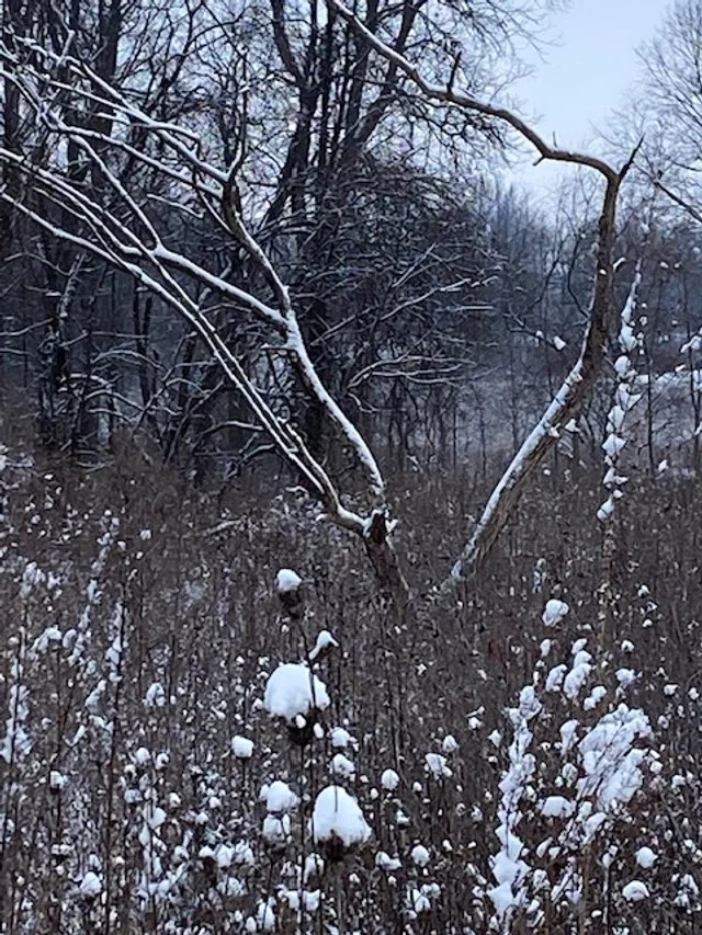 Agraria Center for Regenerative Practice