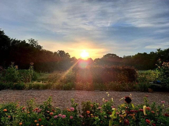 Events — The Homestead 1854