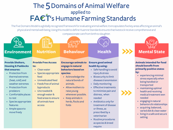 What Does Humane Farming Really Mean? — FACT