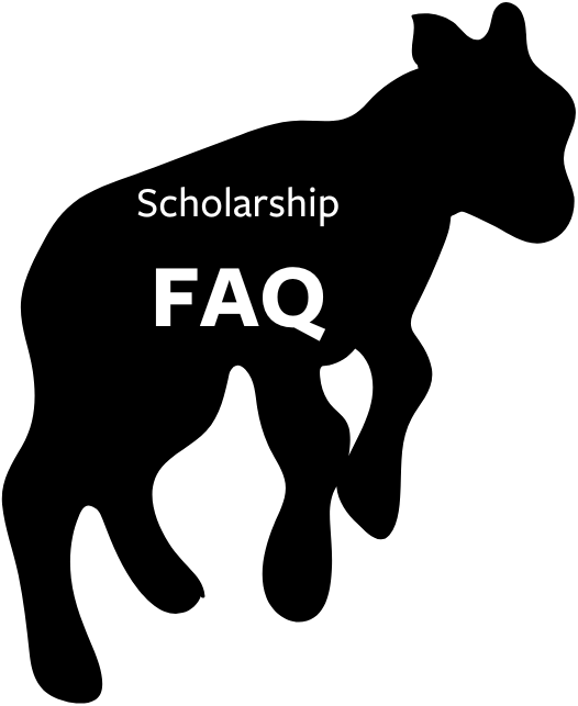 Conference Scholarships — FACT
