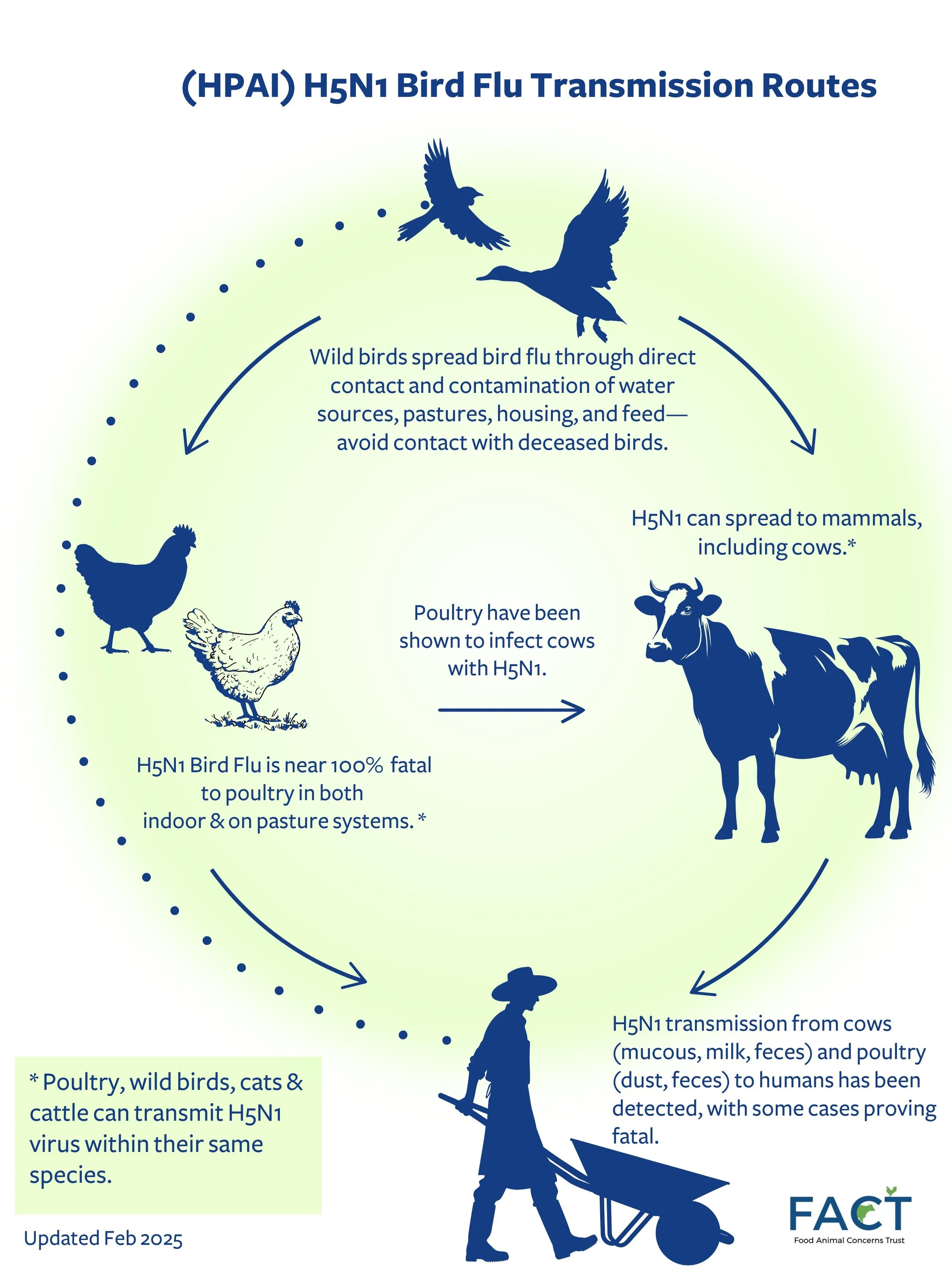 Bird Flu & Biosecurity — FACT