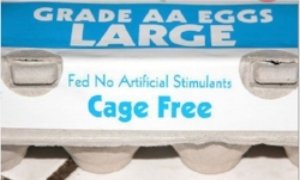 Humane Food Labels — FACT