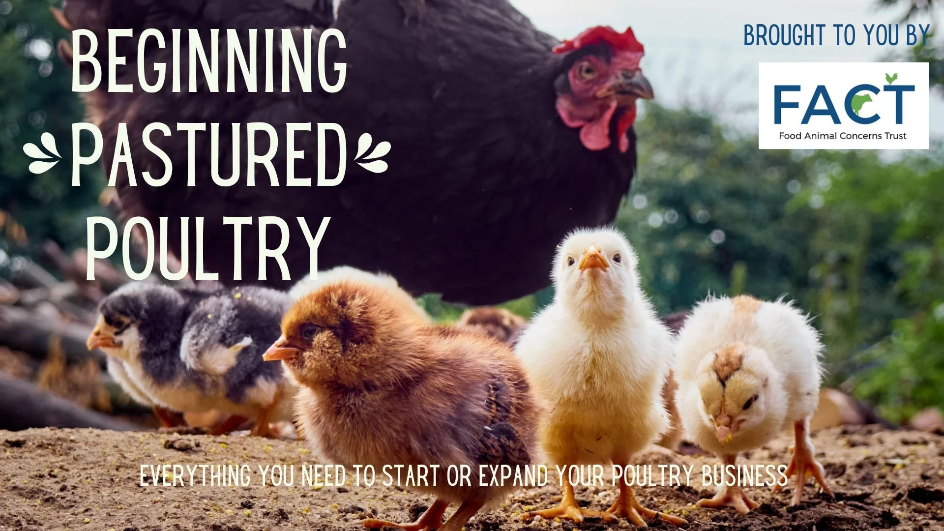 Additional Resources — FACT