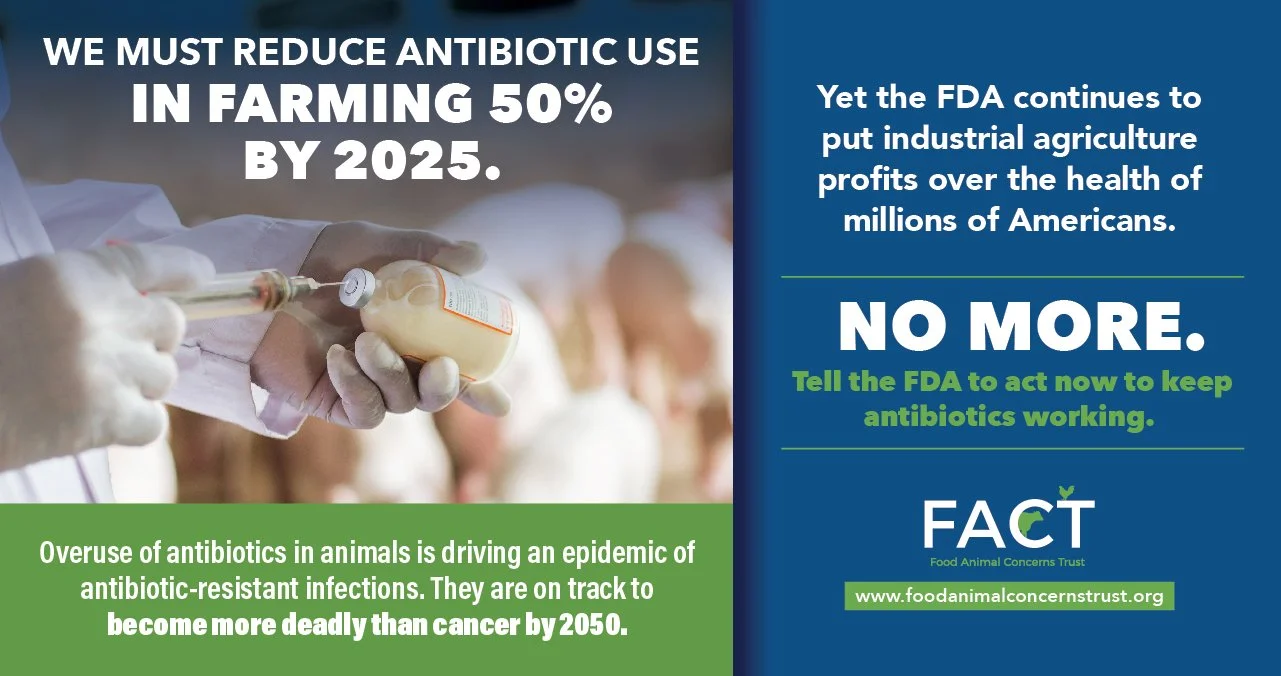 Calling on the USDA to Stop Antibiotic Overuse — FACT