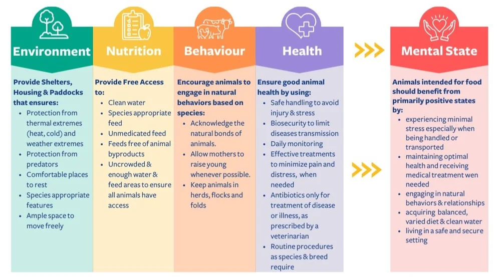 Consumer Resources — FACT