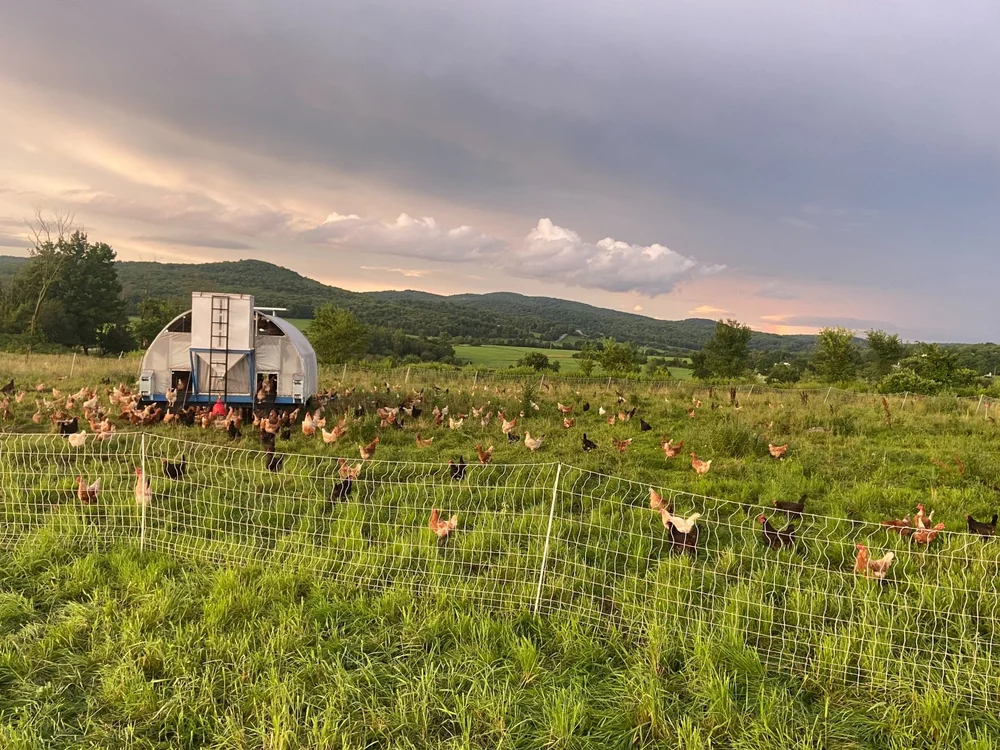 FACT's Humane Farming Standards — FACT