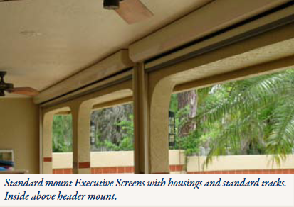 Building Considerations for Phantom Executive Screens