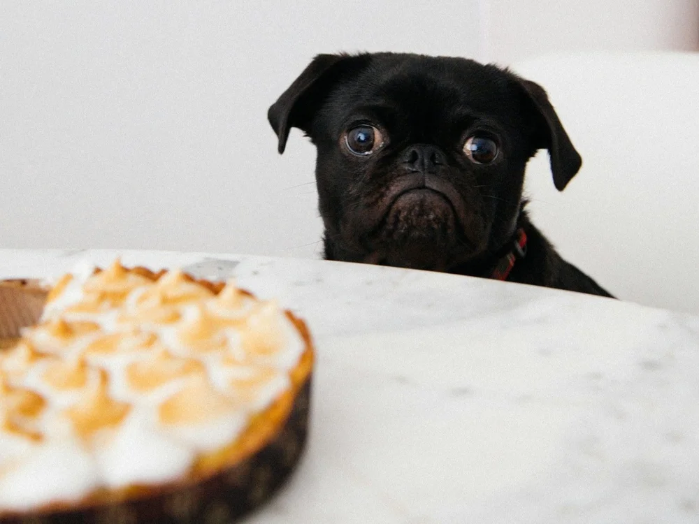 9 Tips for Honoring your Hunger and Fullness — Zen Den Fitness & Wellness