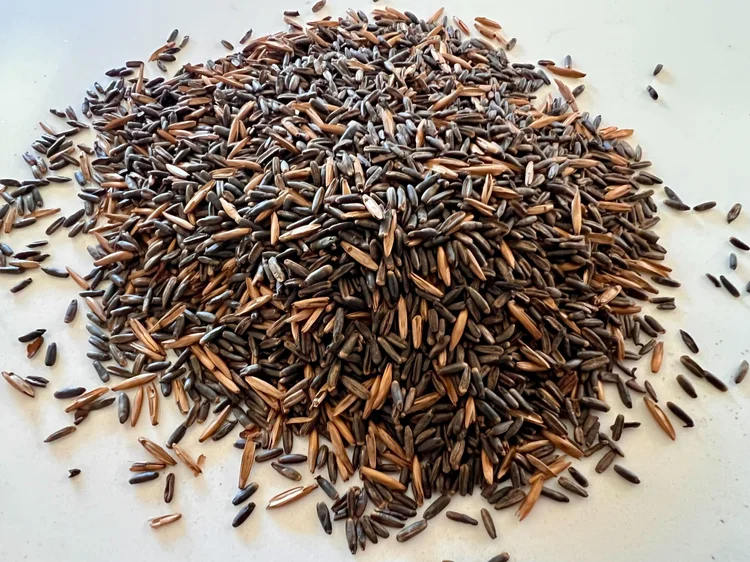Buy Kernza online — Sustain-A-Grain