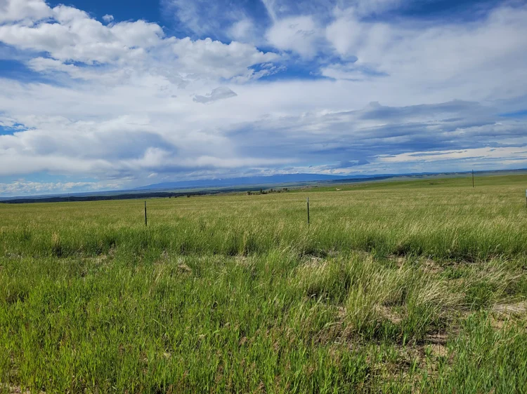 Golden Valley County