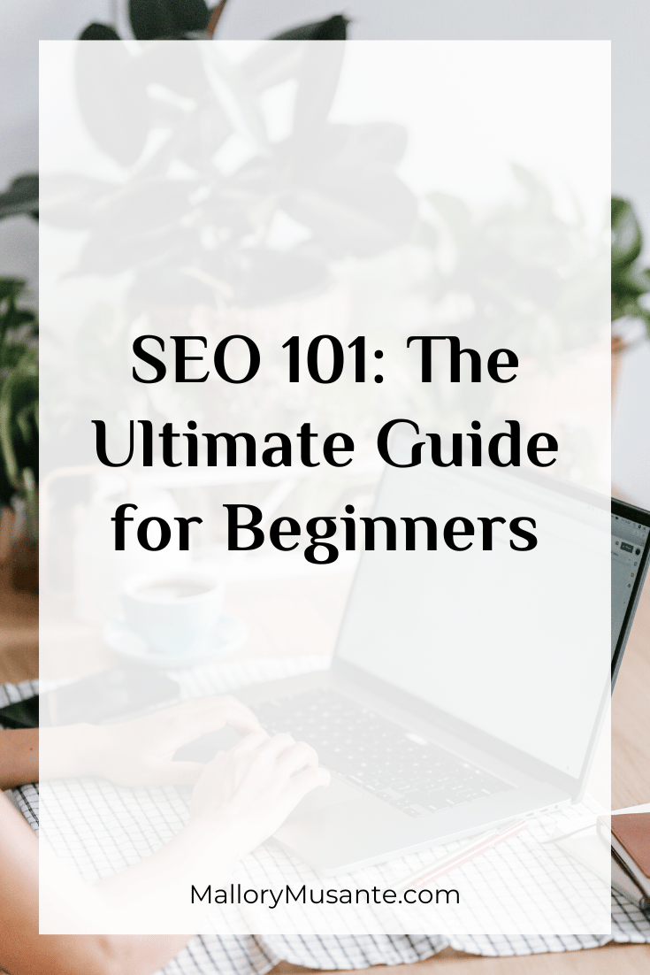 SEO 101: A Beginner's Guide to SEO Basics