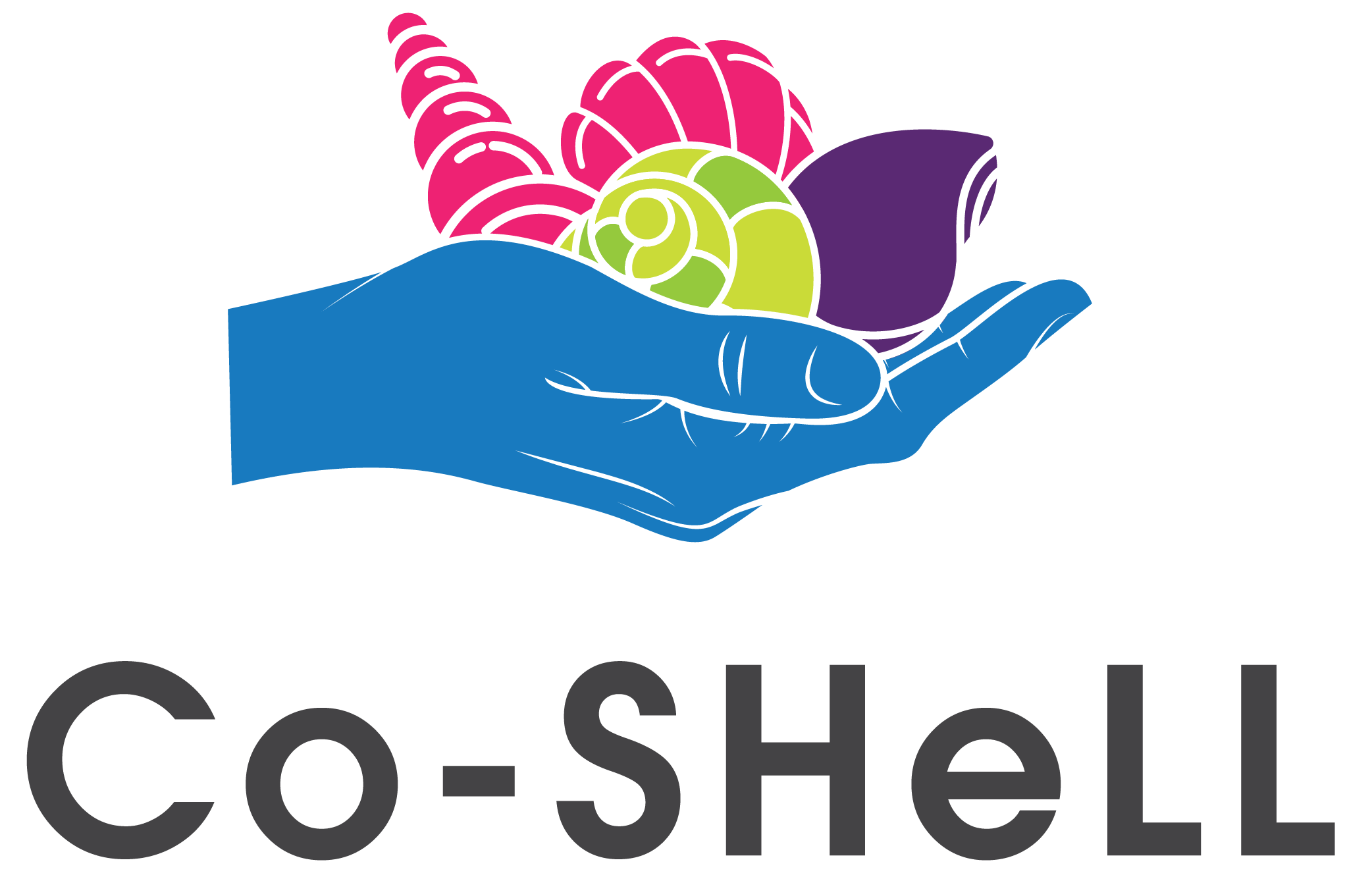 Co-SHeLL — Sydney Health Literacy Lab