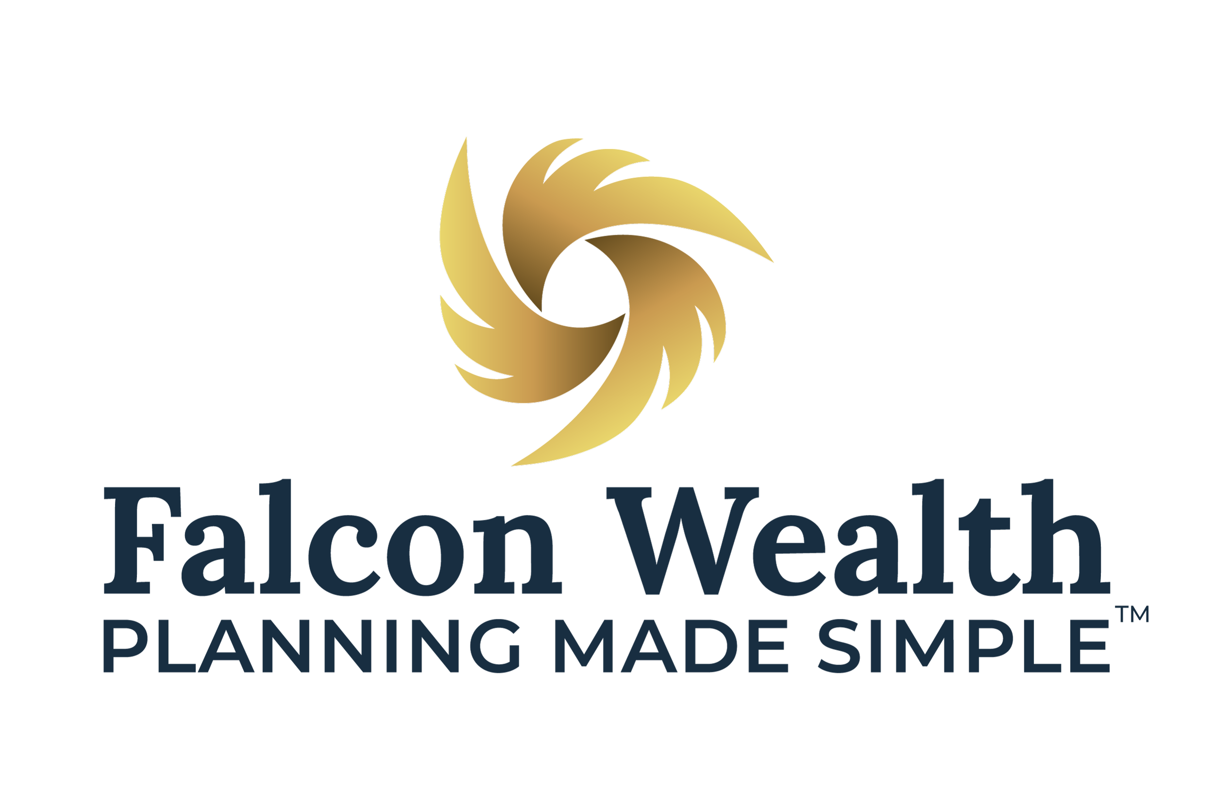 Client Login — Falcon Wealth Planning