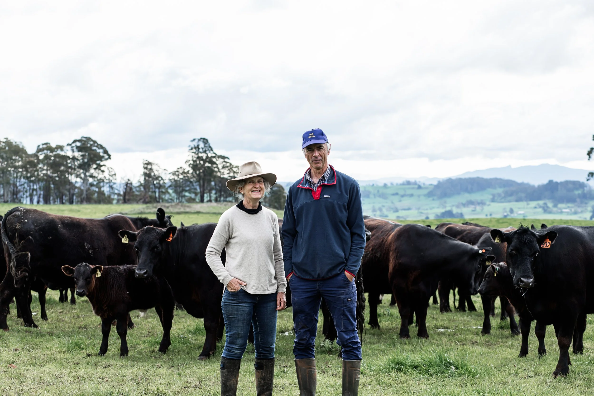 STORIES — BUSH JOURNAL