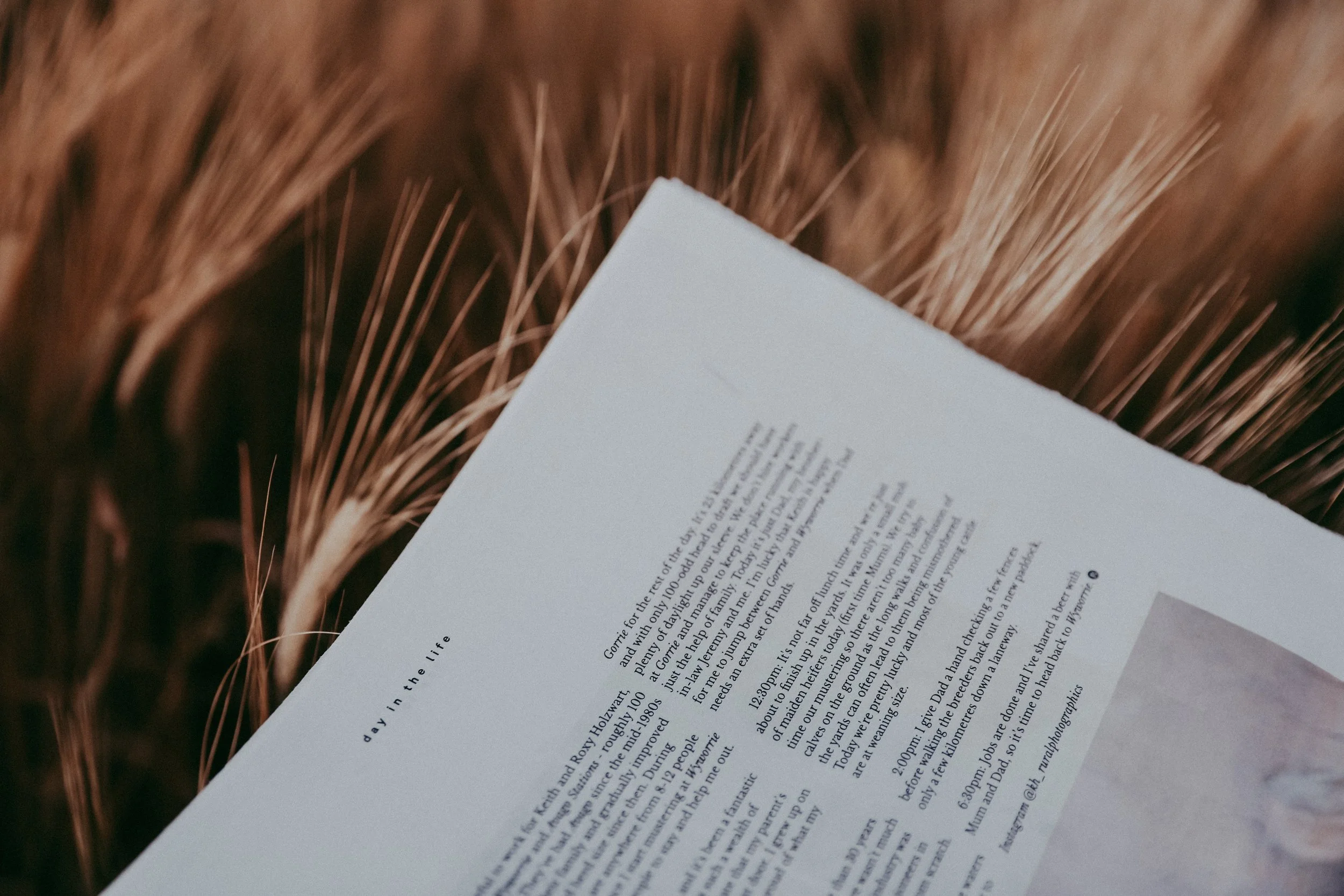 Bush Journal - a newsprint magazine that explores the soul of rural ...