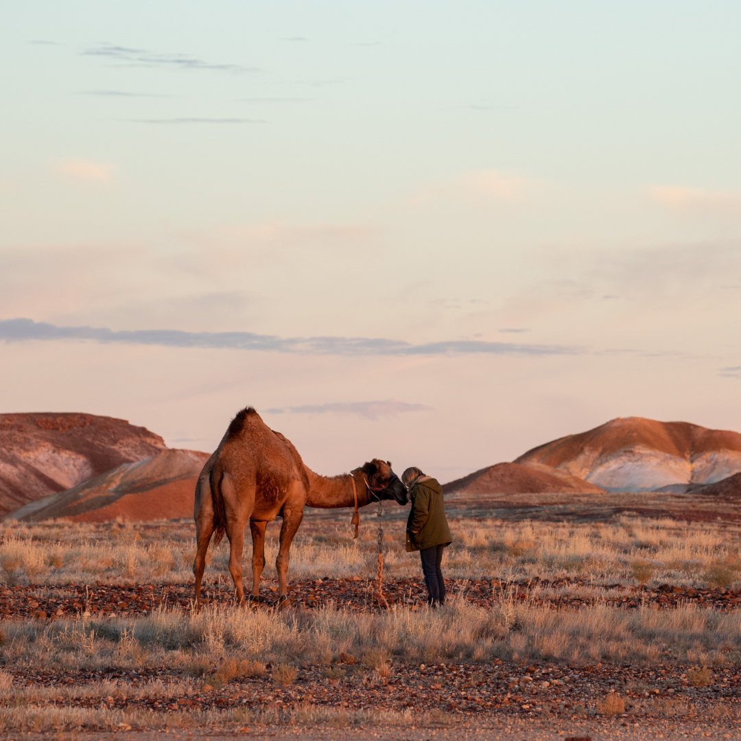 Bush Journal - a newsprint magazine that explores the soul of rural ...