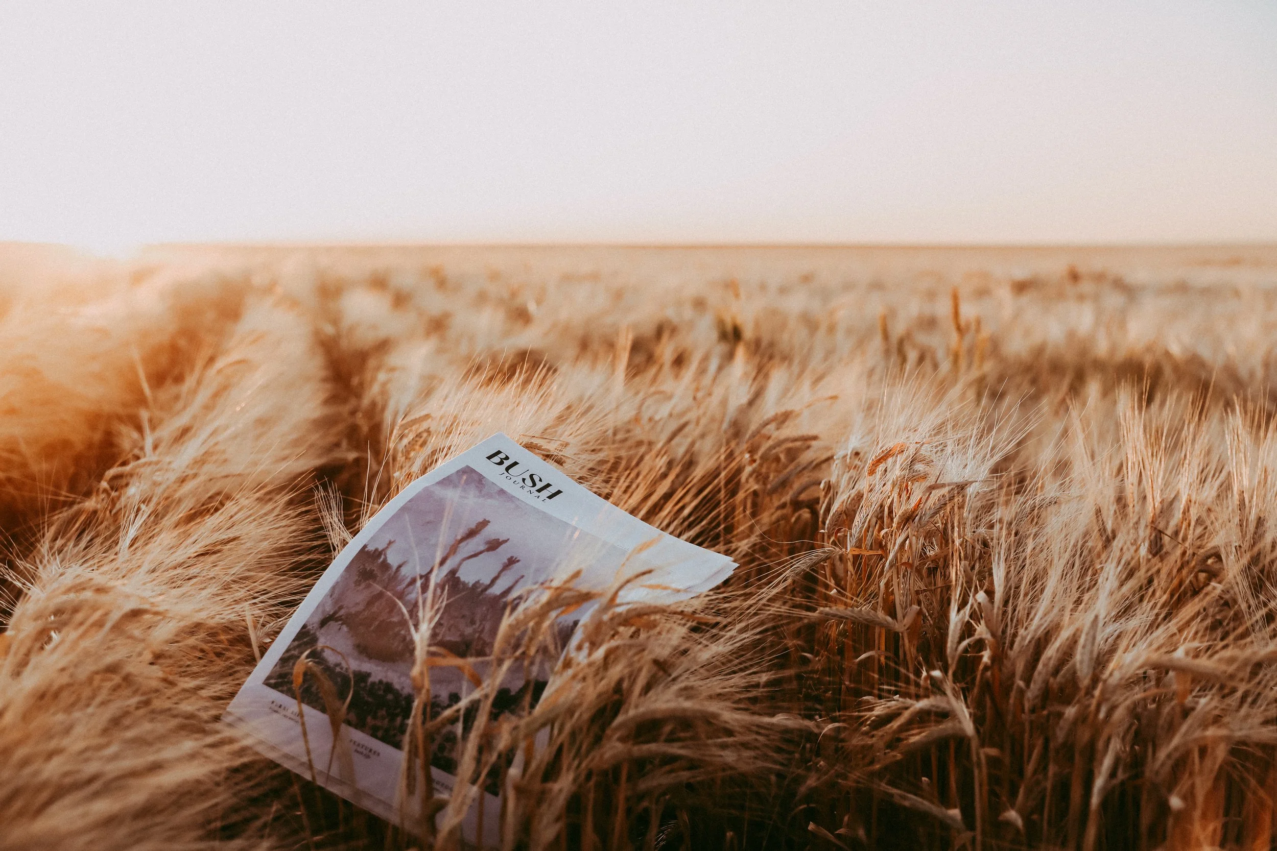Bush Journal - a newsprint magazine that explores the soul of rural ...