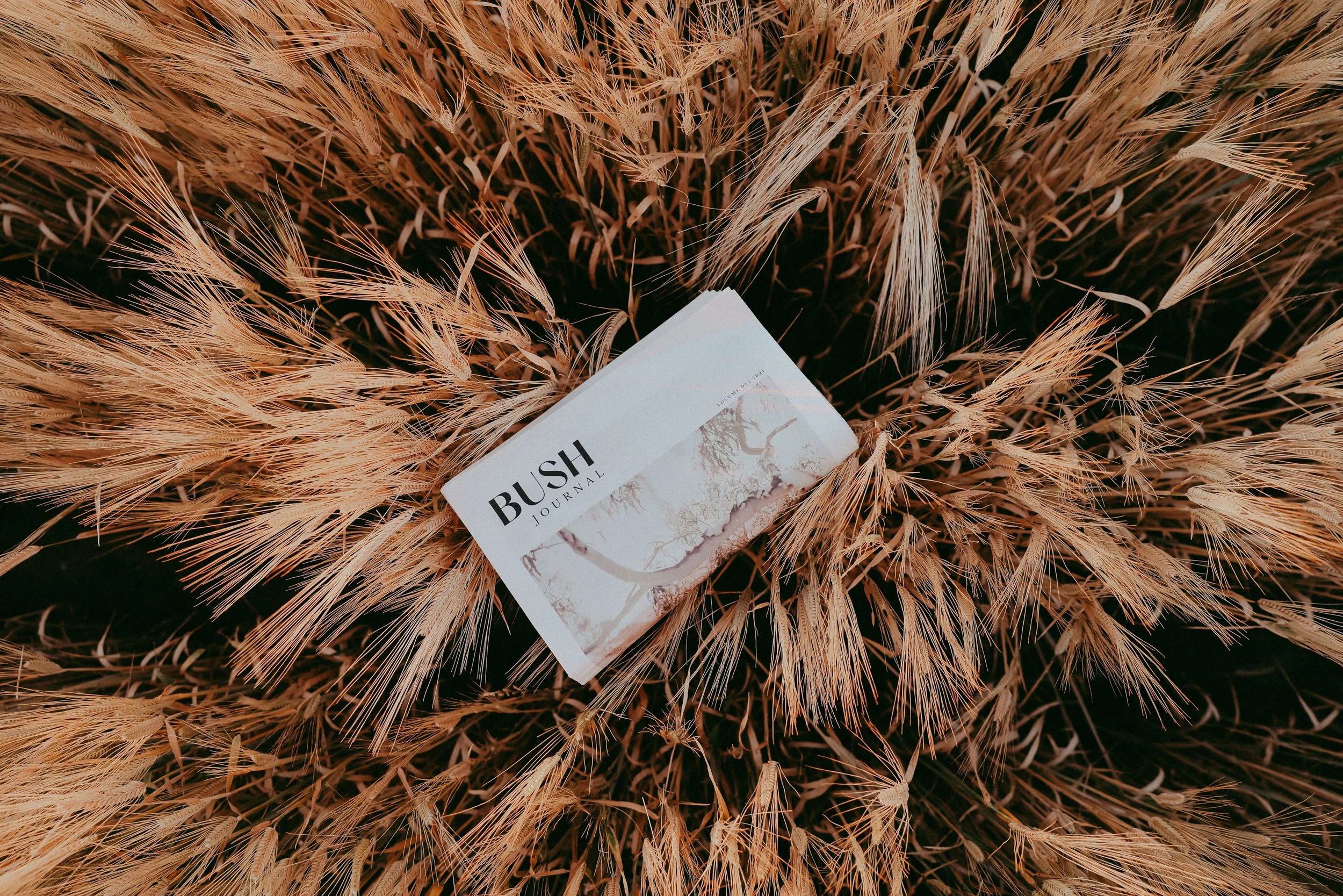 ABOUT US — BUSH JOURNAL