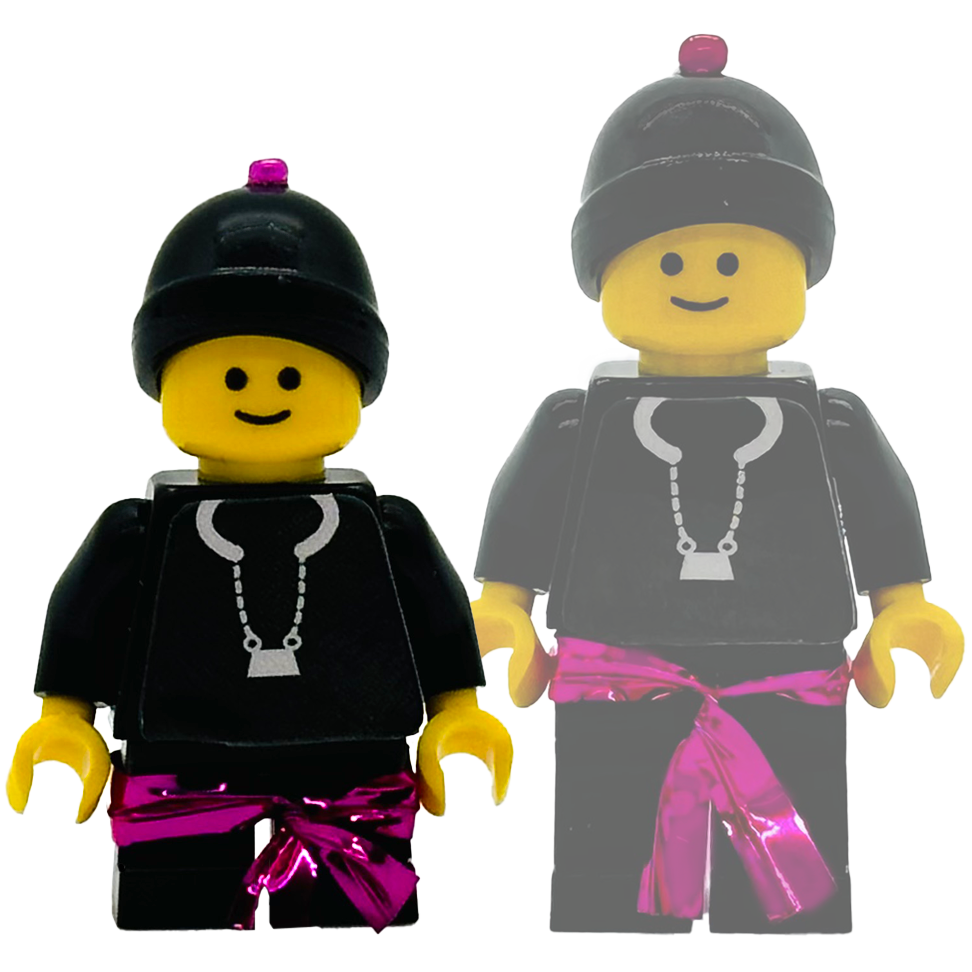 Shop — Hmong Bricks