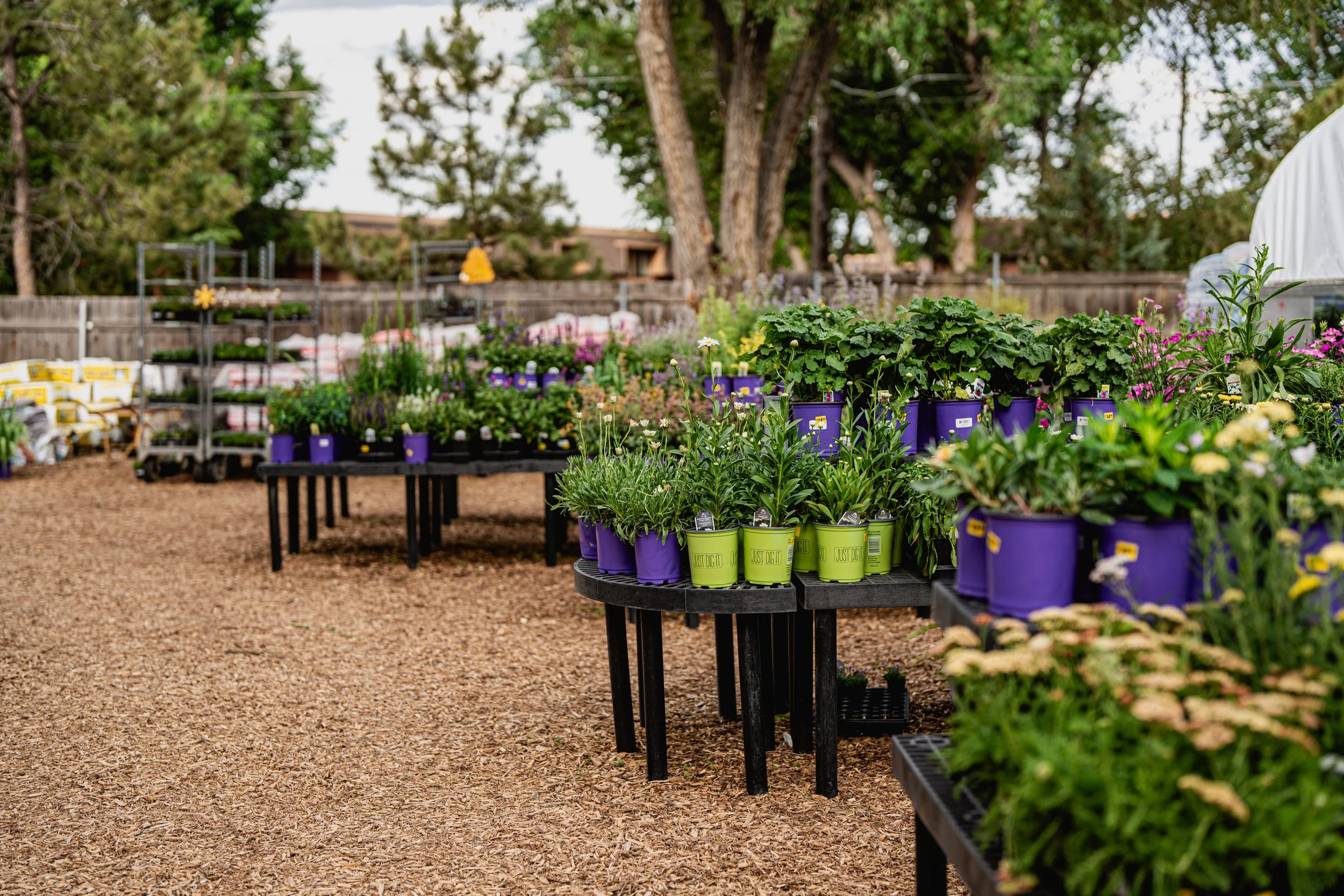 Garden Center | Explore & Flourish — Hillside Gardens
