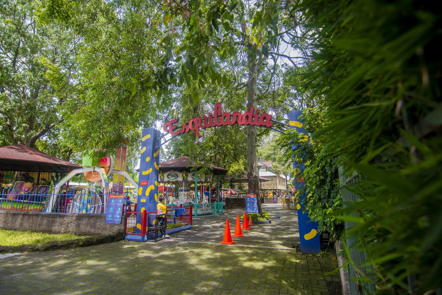 General 1 — Esquilandia