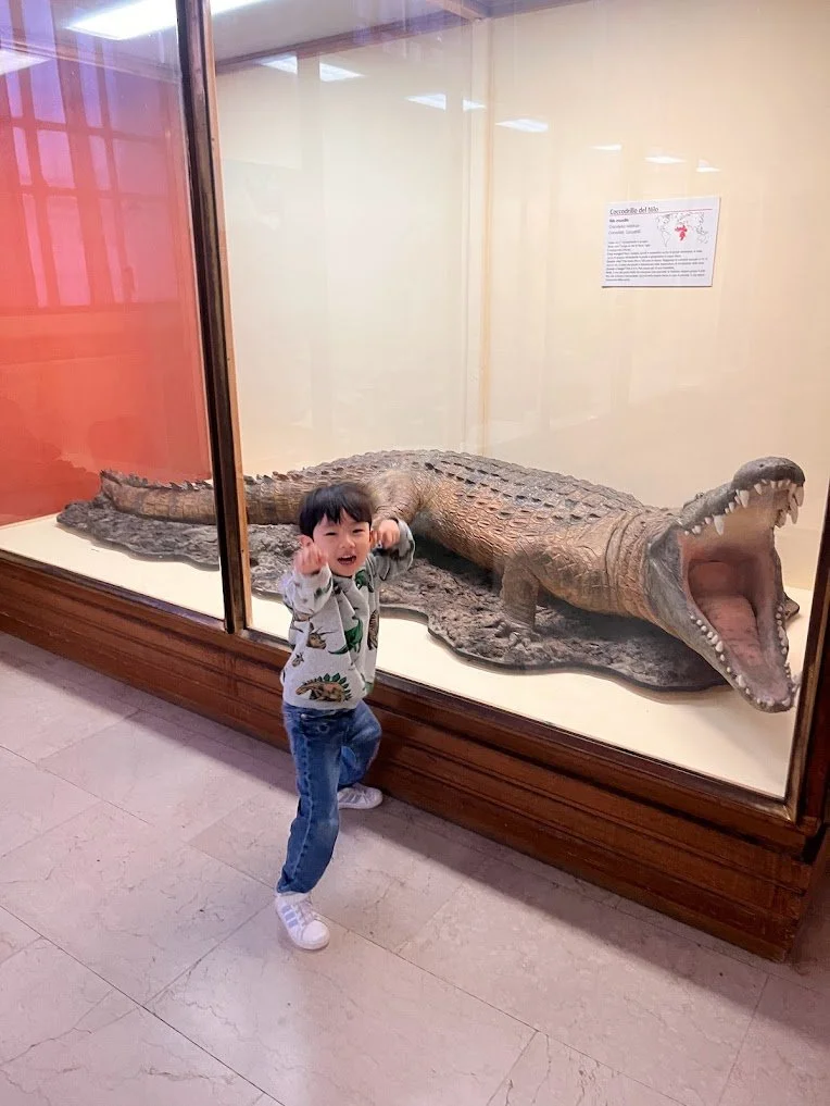 Milan Natural History Museum — TINY GLOBE TALES
