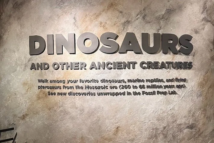 Things to do in Philadelphia for Dinosaur Lovers — TINY GLOBE TALES