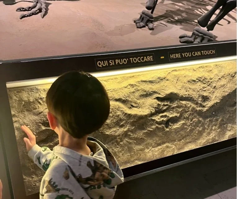 Milan Natural History Museum — TINY GLOBE TALES