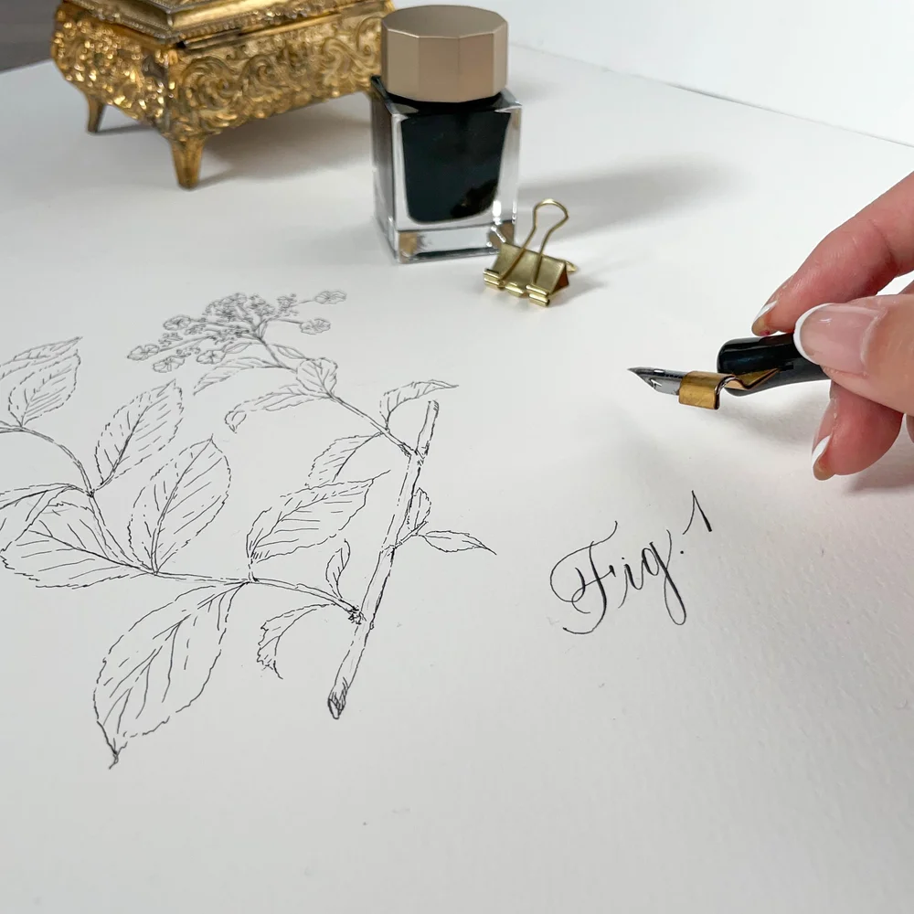 Workshops | Join Calligraphy Workshops Today — Rosemay Studio