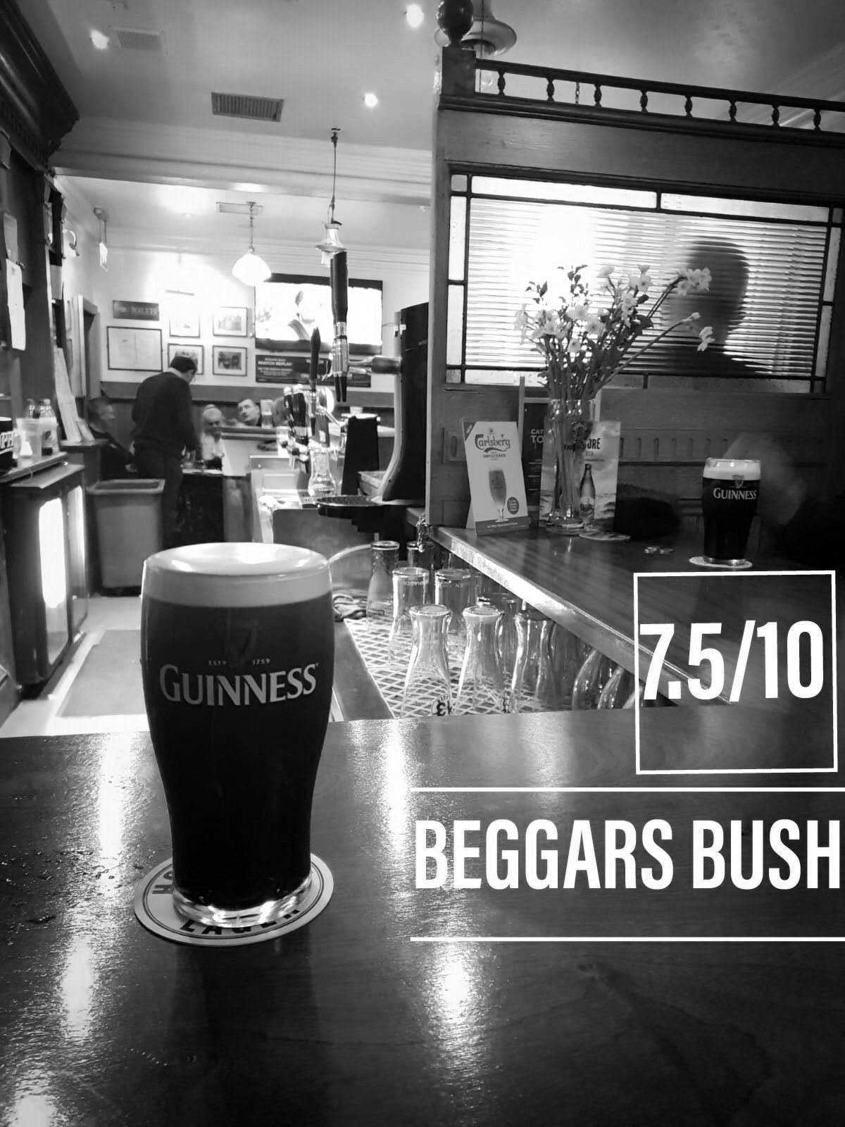 The Perfect Pint Tour - Dublin