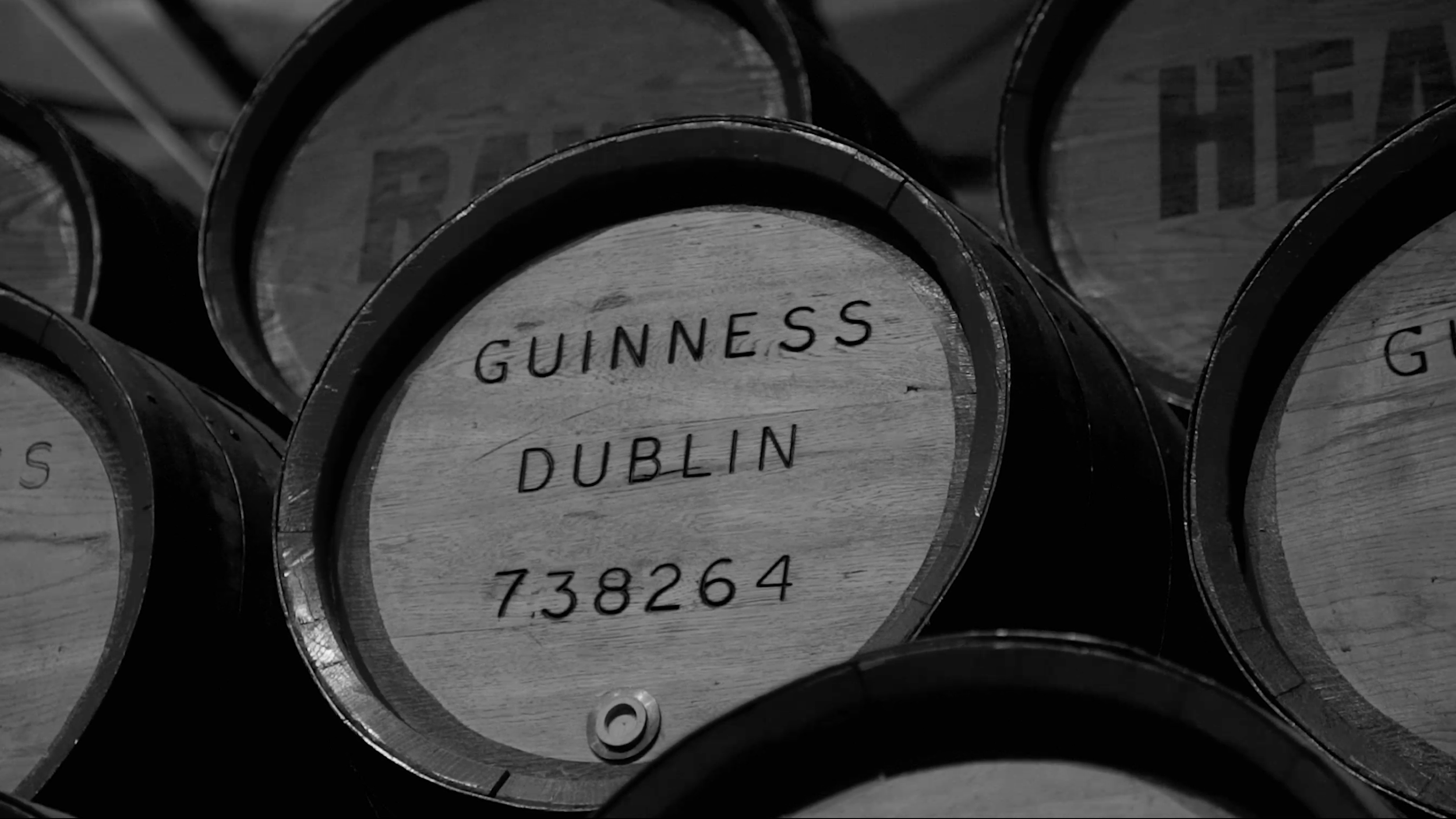 The Perfect Pint Tour - Dublin