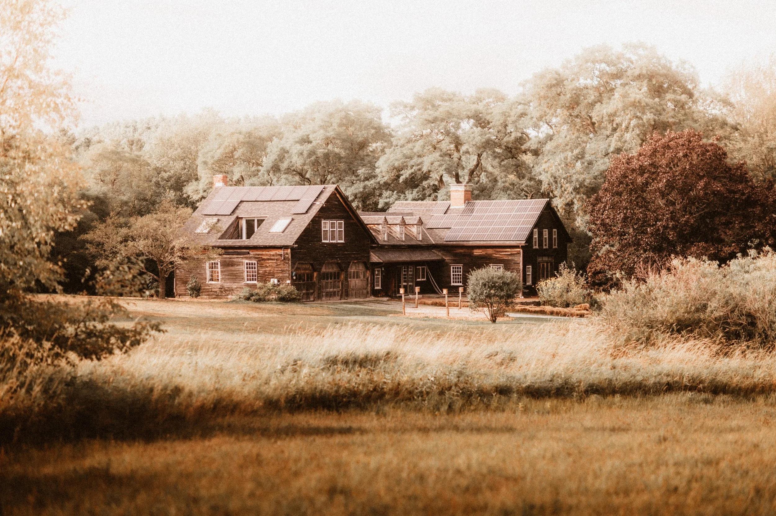 Weddings — Wild Sugar Homestead