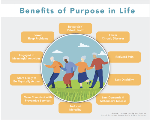 The Purpose Equation