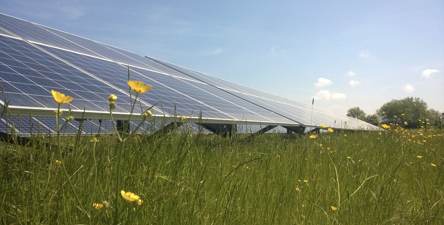 Bluefield Renewable Developments - Grange Farm Solar Farm