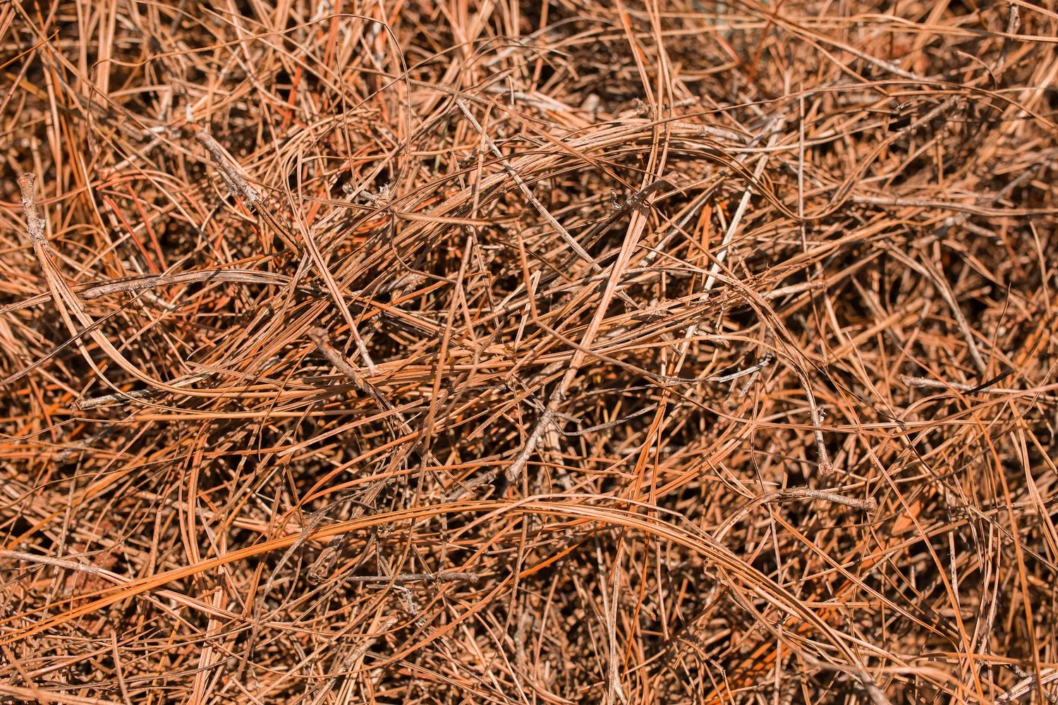 Quickstraw Compressed Straw Bales — Xylem Ltd