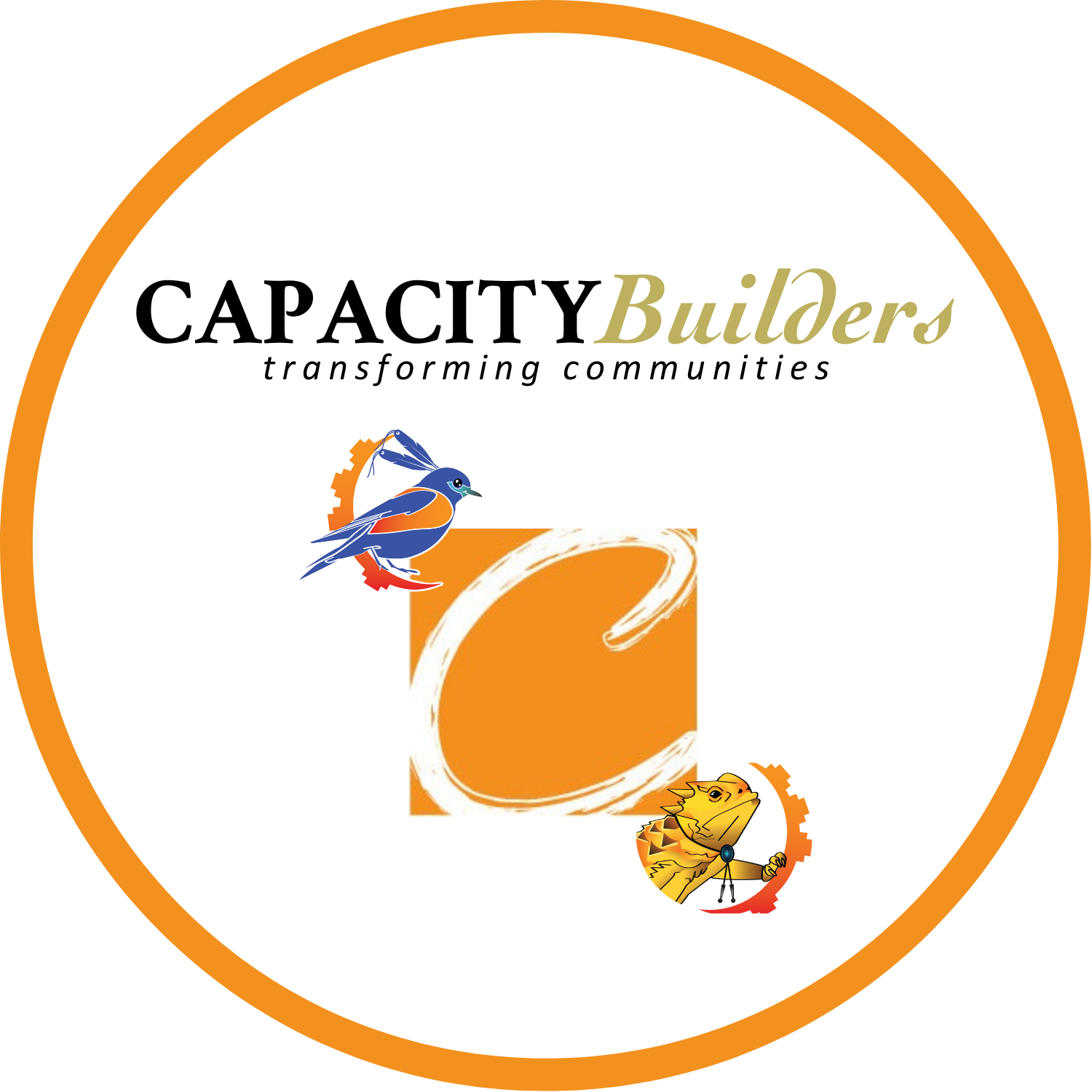 Grant Programs — Capacity Builders