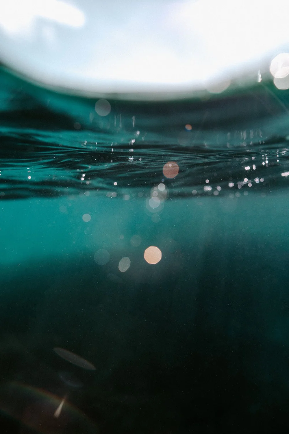 Our Boats & Rates | Private Boat Charters | Island Roots Charters