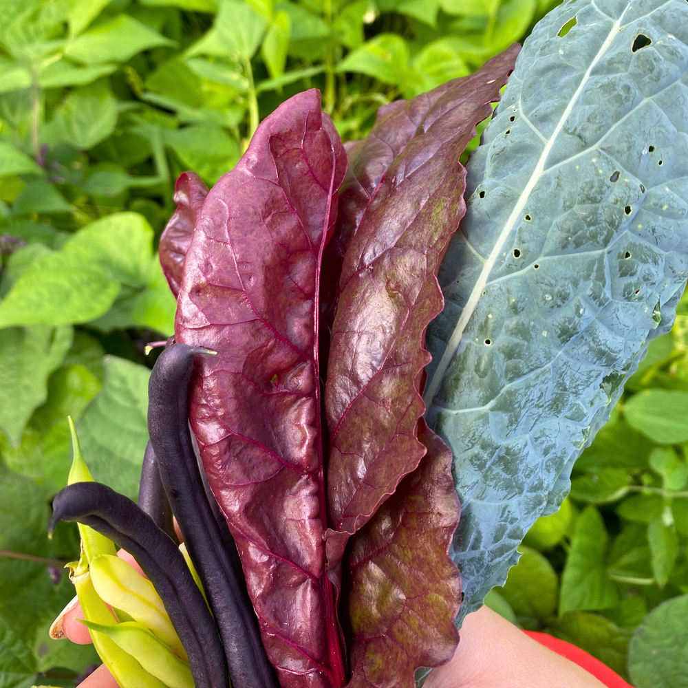 The PATCH London— PATCH Workshops