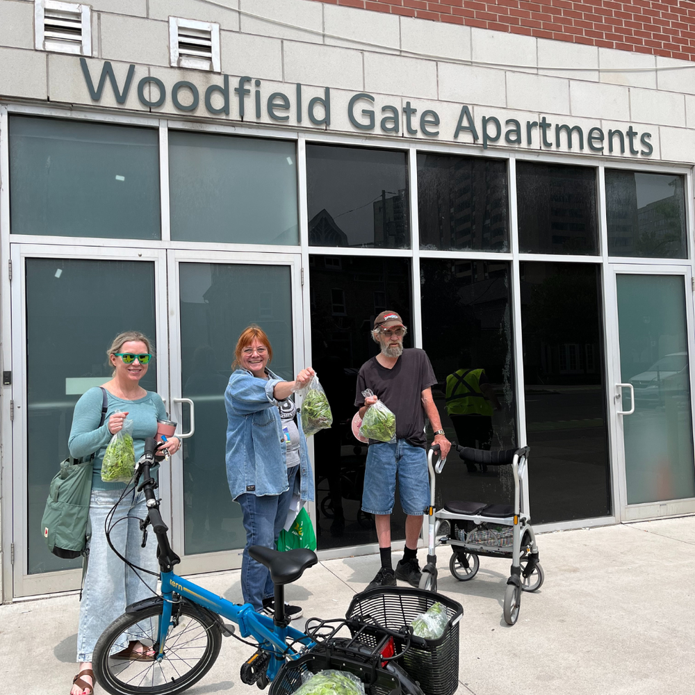 The PATCH London— Volunteer