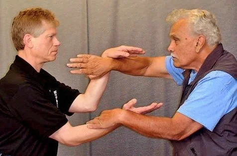 Wing Chun Do History — Ambrose Academy of Wing Chun Do