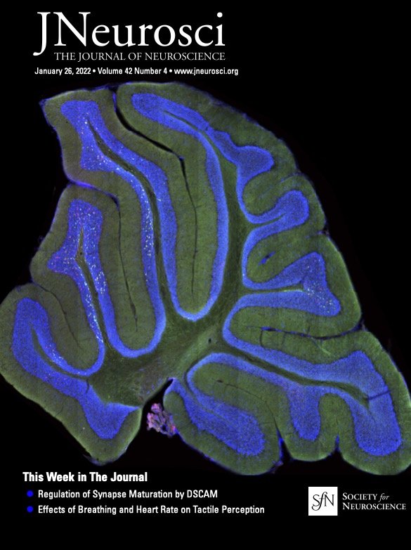 Publications — The Dean Lab