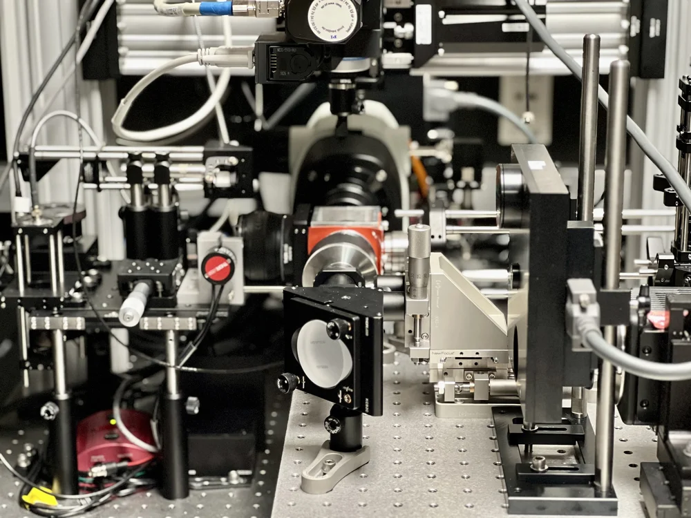 Research — The Dean Lab