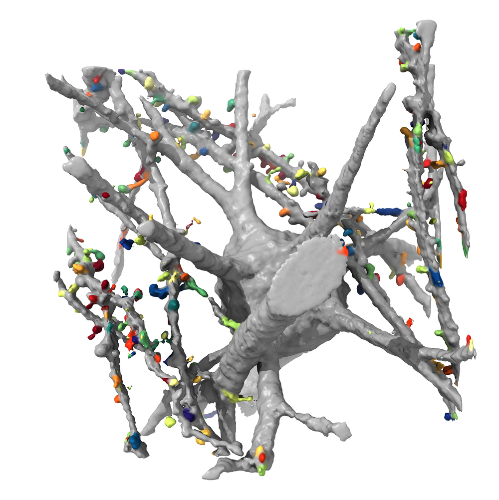 Gallery 3 — The Dean Lab