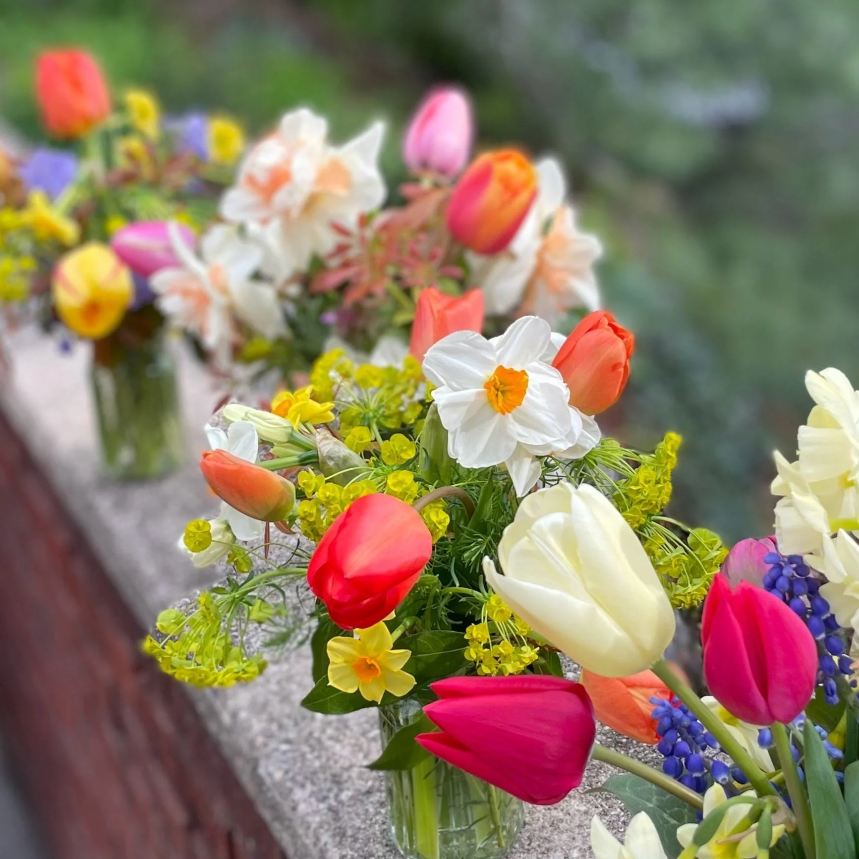 Early Spring Fleurette — Muriel Fleurs Florist Hastings-on-Hudson
